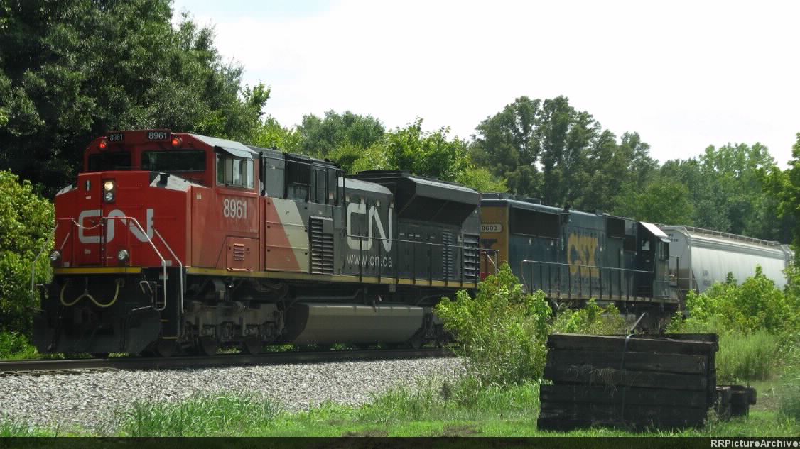 CN 8961